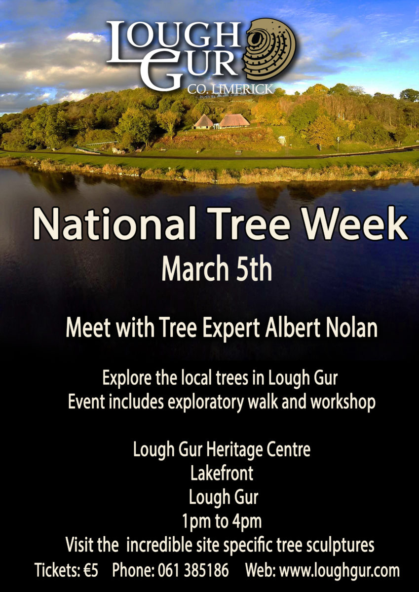 Tree Week March 5th - Lough Gur